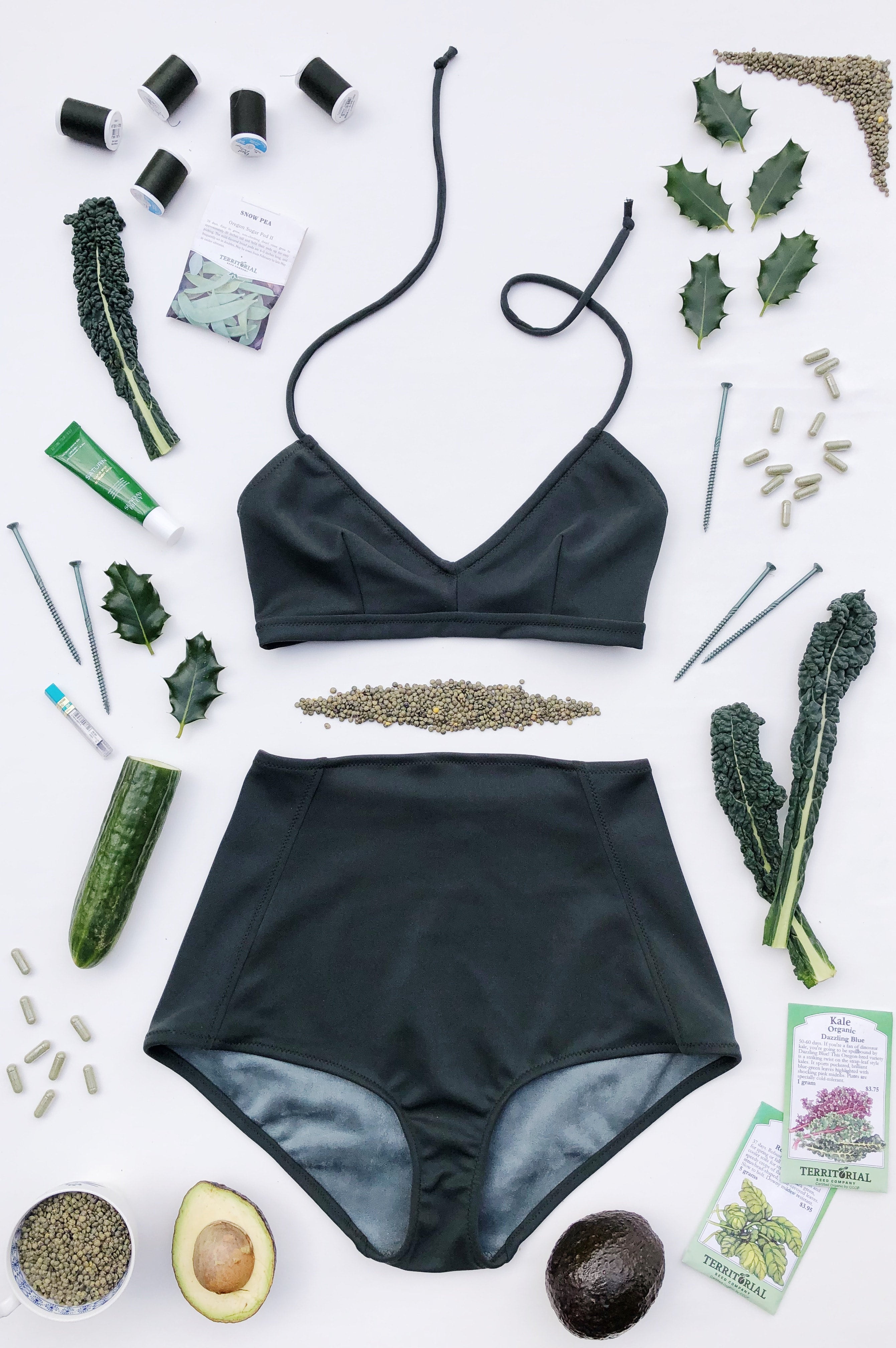 Lagoon Swimsuit | merrick maria