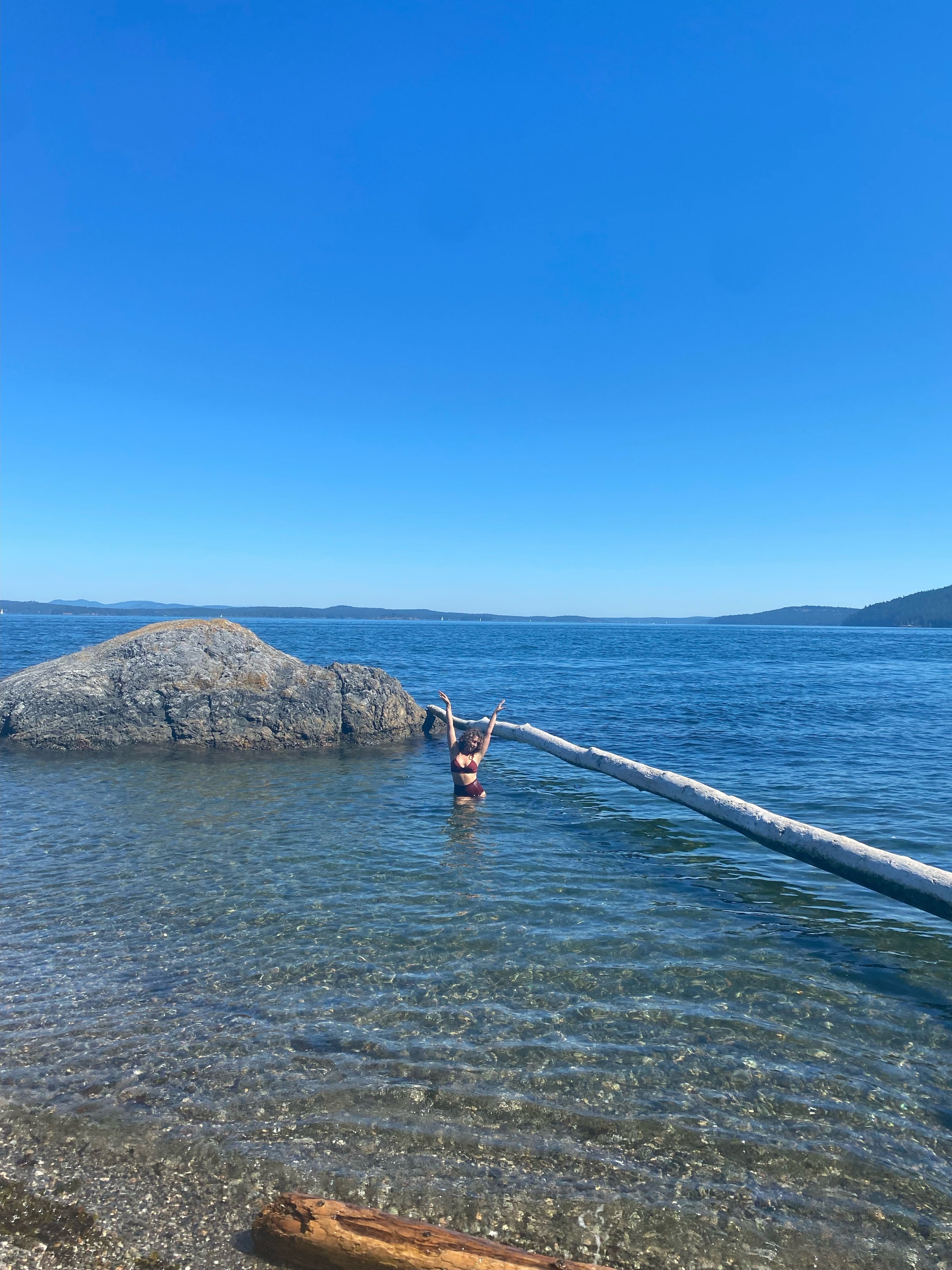 Brick Swimsuit | merrick maria