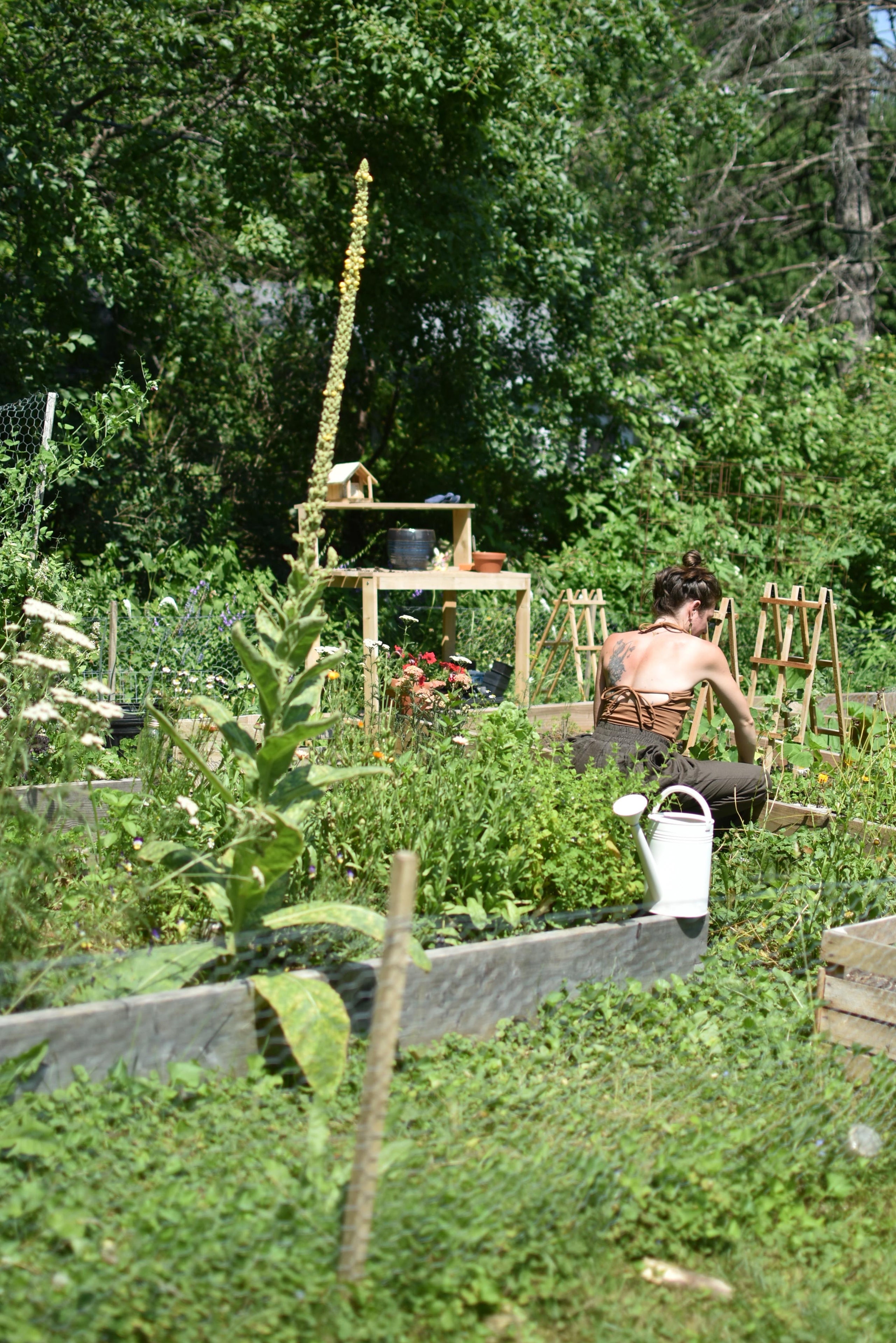 Fawn One-piece Swimsuit | merrick maria